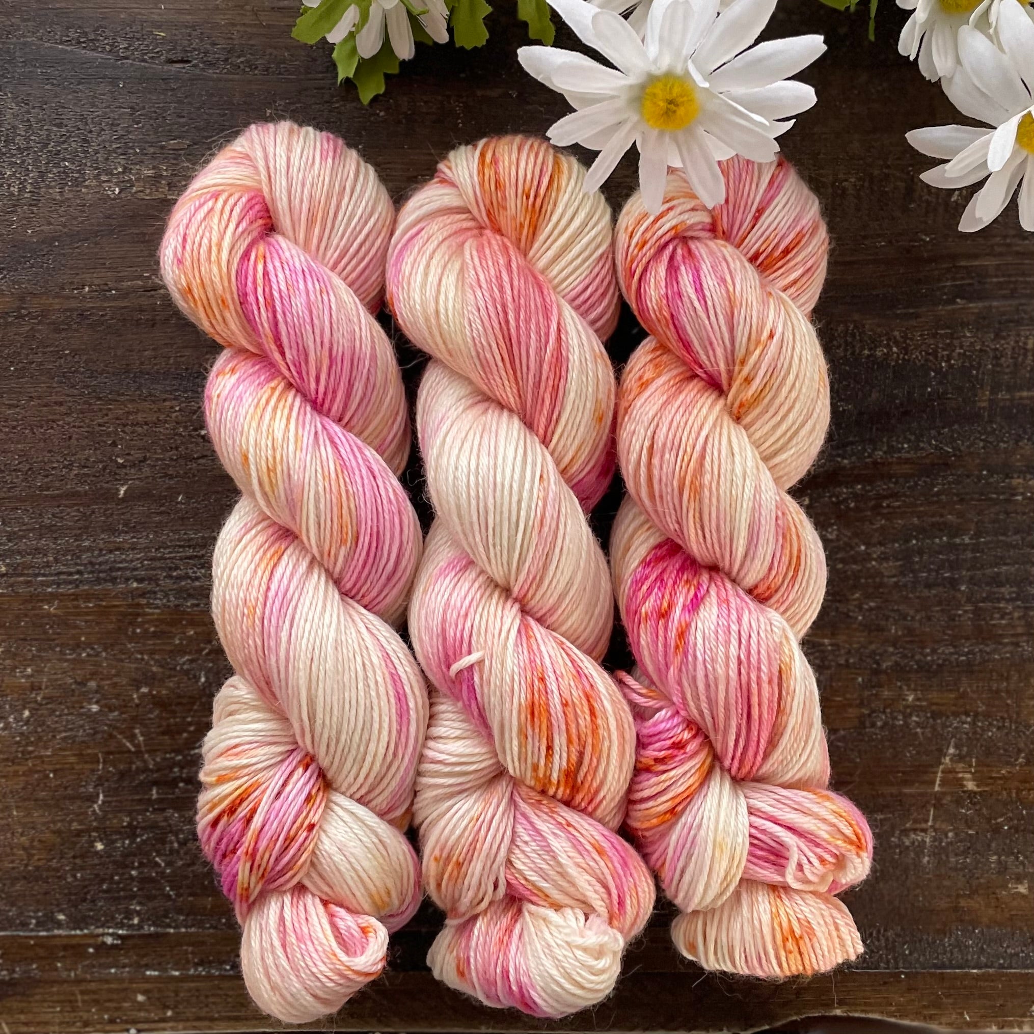 "Coral Garden" Hand-Dyed Alpaca Dreams Yarn – achickthatknitz